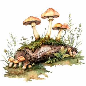 17 Forest Mushrooms on Log PNG Clipart, Orange Toadstools With Moss and ...