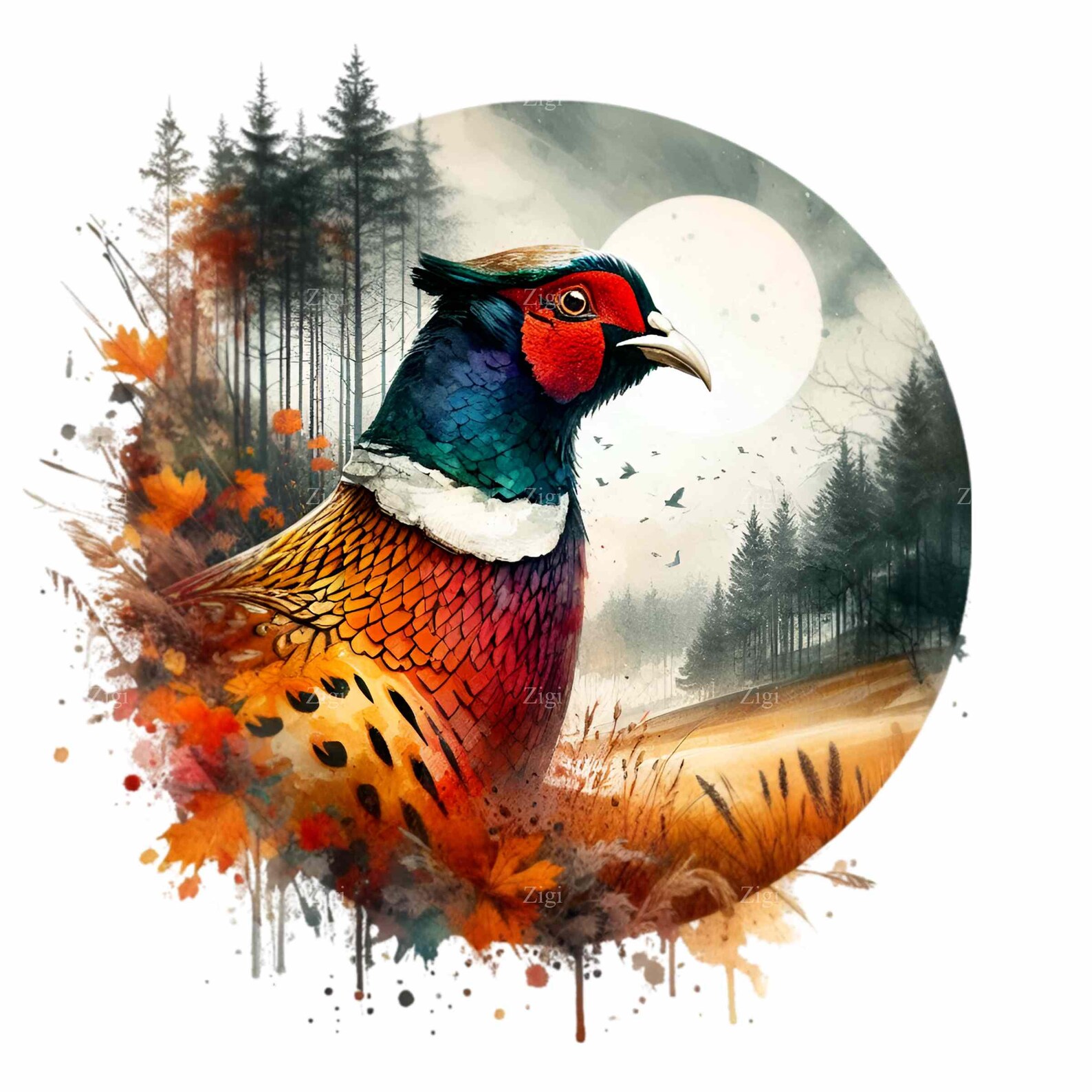 Autumn Pheasant PNG Clipart, 12 Wildlife Illustration With Forest Scene ...