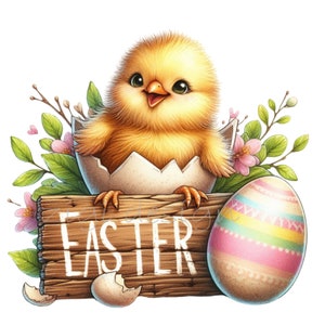 18 Easter Chick PNG Clipart, Cute Baby Chick in Egg With Flowers and ...