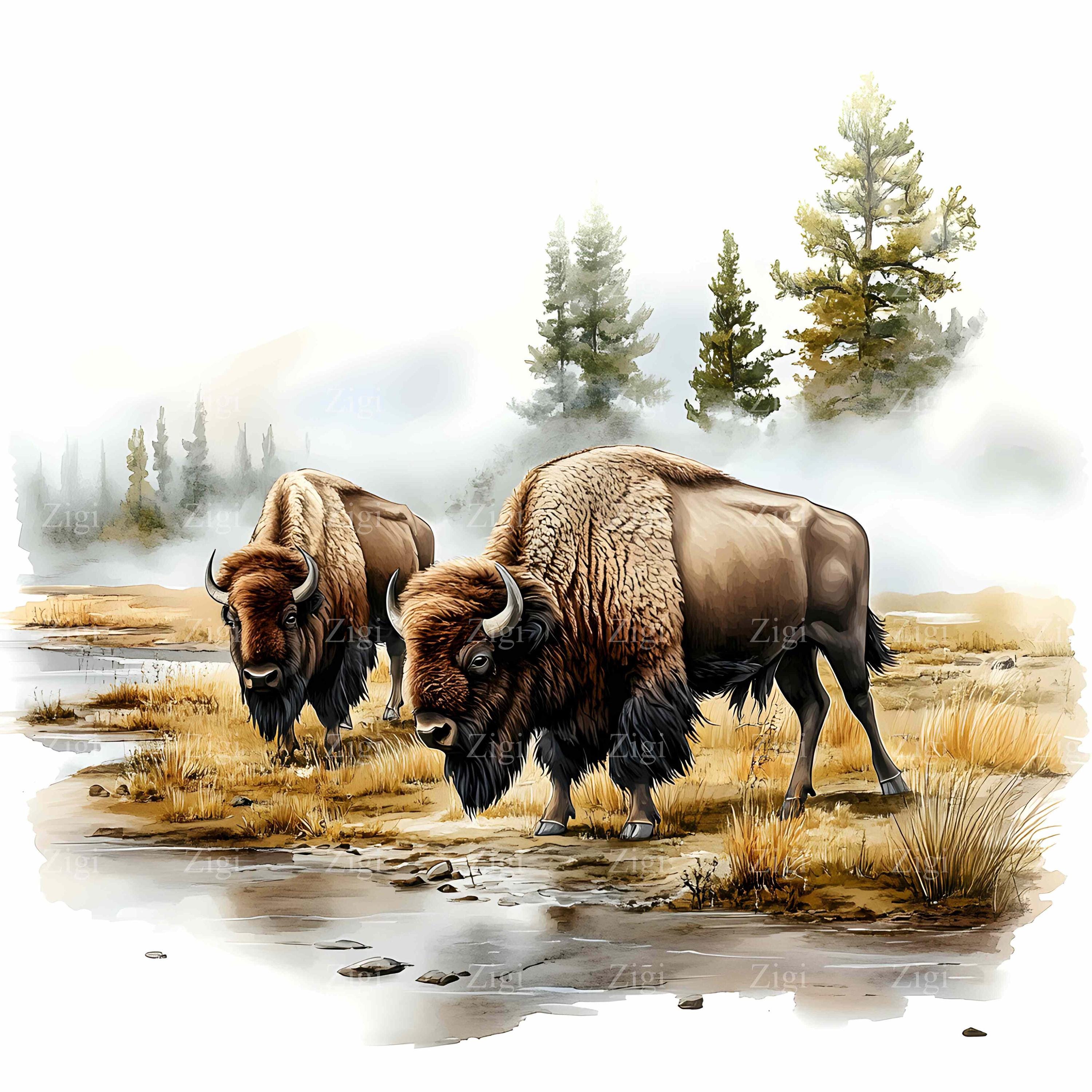 16 JPEG Bison Landscape Clipart – Wild Buffalo JPG Art – Rustic Nature ...