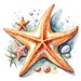 Starfish Clipart PNG Bundle 20 Ocean Animals Sea Star - Etsy
