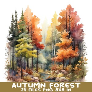 Autumn Forest Clipart PNG, Scenic Fall Pathway Illustration, 24 Digital ...