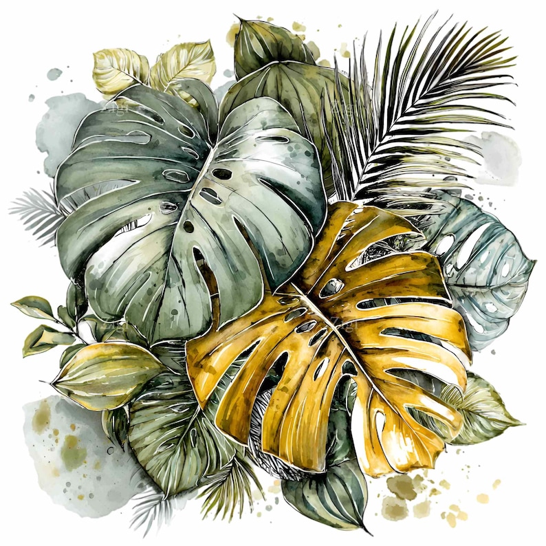 15 PNG Watercolor Jungle Leaves – Tropical Monstera Clipart PNG ...