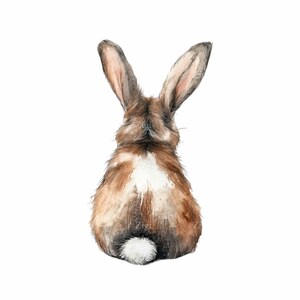 15 Wild Bunny PNG Clipart - Adorable Rabbit Illustration With Back View ...
