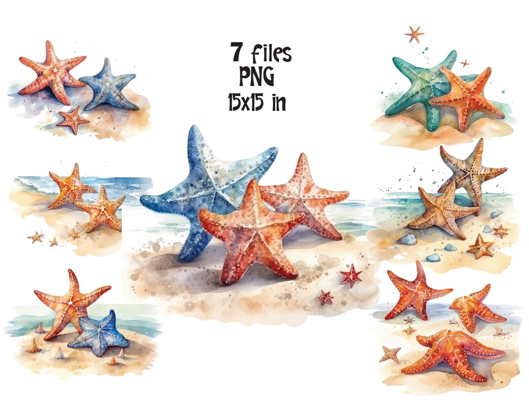 Starfish Clipart PNG Watercolor Beach Sea Ocean Sublimation - Etsy