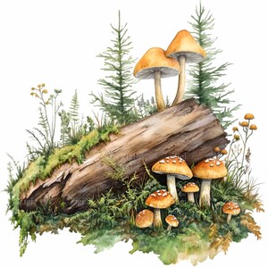 17 Forest Mushrooms on Log PNG Clipart, Orange Toadstools With Moss and ...