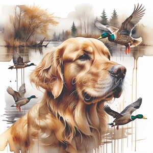 Hunting Dog Clipart, Golden Retriever Dog Clipart Digital Papers 15 JPG ...