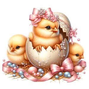 10 PNG Easter Chicks Clipart – Baby Chick Egg Illustration, Spring Farm ...