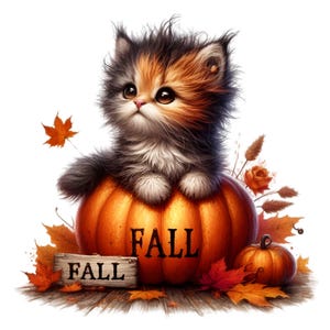 10 Fall Kitten PNG, Cute Fluffy Cat in Pumpkin Clipart, Autumn ...