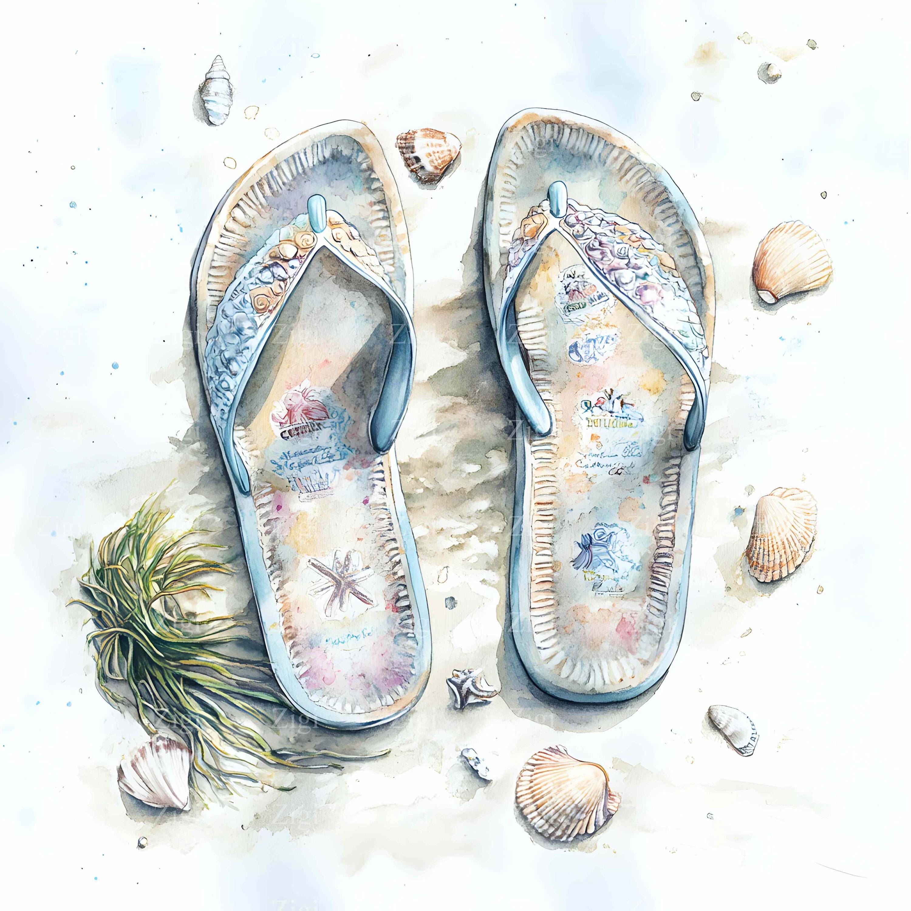 24 JPG Beach Flip Flops Illustration Watercolor, Seashell Summer ...