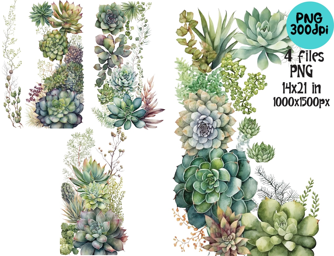 Succulents Border Clipart PNG Watercolor Cactus Sublimation Digital ...
