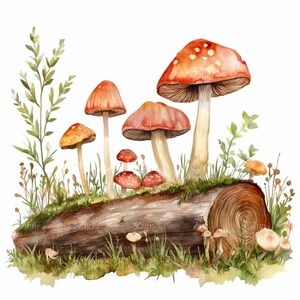 17 Forest Mushrooms on Log PNG Clipart, Orange Toadstools With Moss and ...