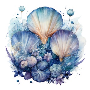 Sea Shells Clipart 10 PNG, Watercolor Seashells Underwater Ocean Beach ...