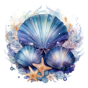 Sea Shells Clipart 10 PNG, Watercolor Seashells Underwater Ocean Beach ...