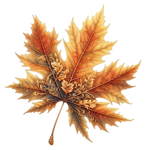 12 Autumn Maple Leaf Clipart PNG, Vibrant Fall Foliage With Berries ...