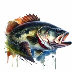 Stunning Bass Landscape PNG Clipart for Fishing Lovers – 10 Ideal for ...