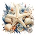 Starfish Clipart 10 PNG, Watercolor Seashells Underwater Ocean Beach ...