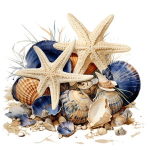 Starfish Clipart 10 PNG, Watercolor Seashells Underwater Ocean Beach ...