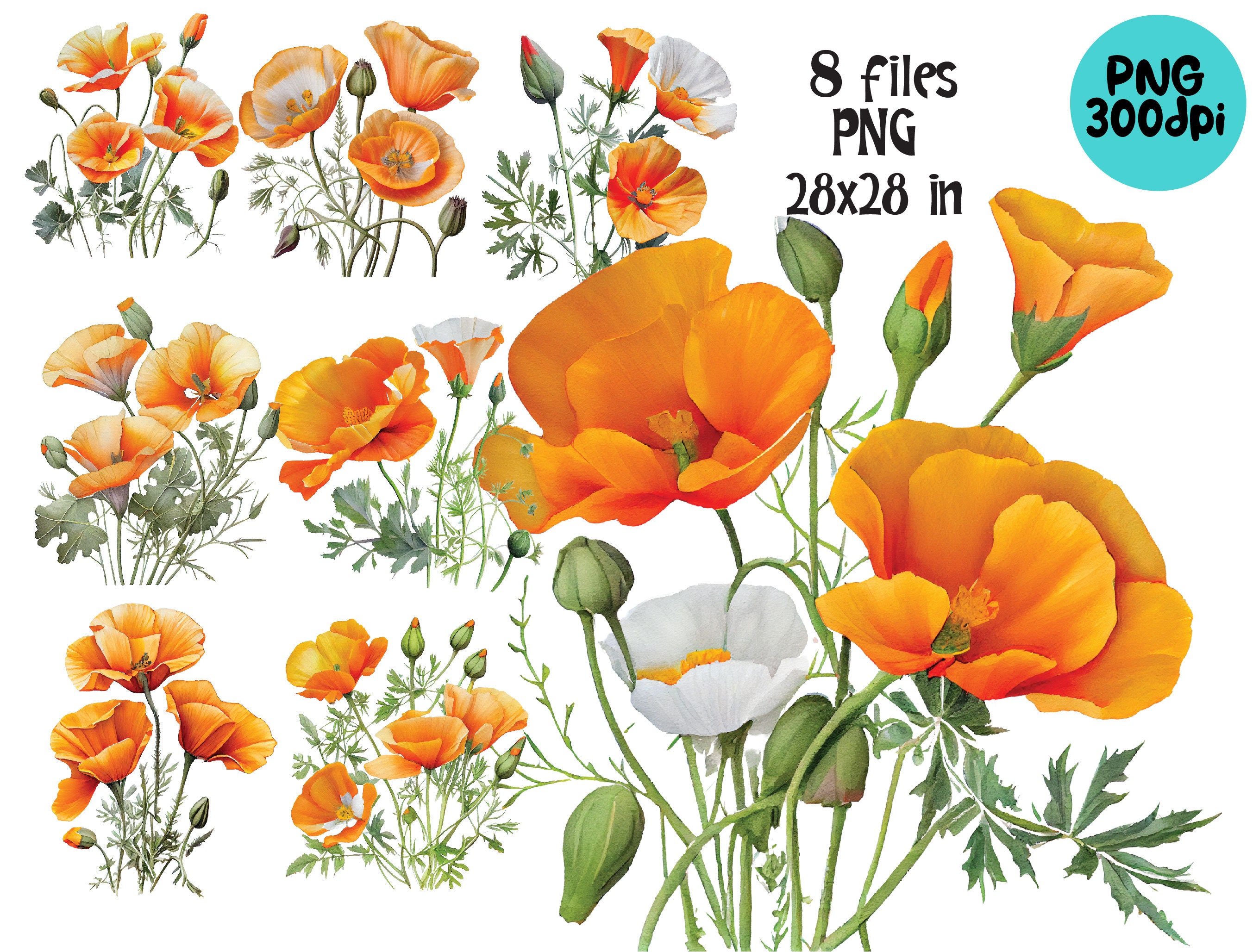 Poppies Clipart
