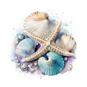 10 Seashell Clipart PNG, Watercolor Starfish and Shells, Ocean Beach ...