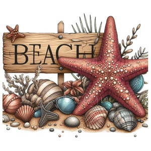 Beach Clipart, Starfish Clipart, 14 PNG Watercolor Ocean Clipart - Etsy
