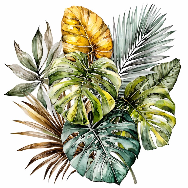15 PNG Watercolor Jungle Leaves – Tropical Monstera Clipart PNG ...