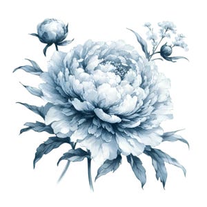 Vintage Blue Peony Clipart PNG, 18 Elegant Floral Illustration ...