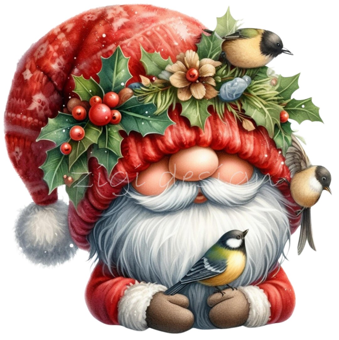 Christmas Gnome Clipart PNG - Etsy