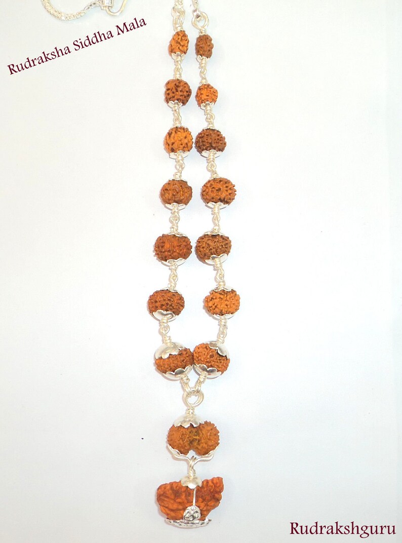 Rudraksha Siddha Mala Java /combination of 1 Mukhi Till 14 - Etsy