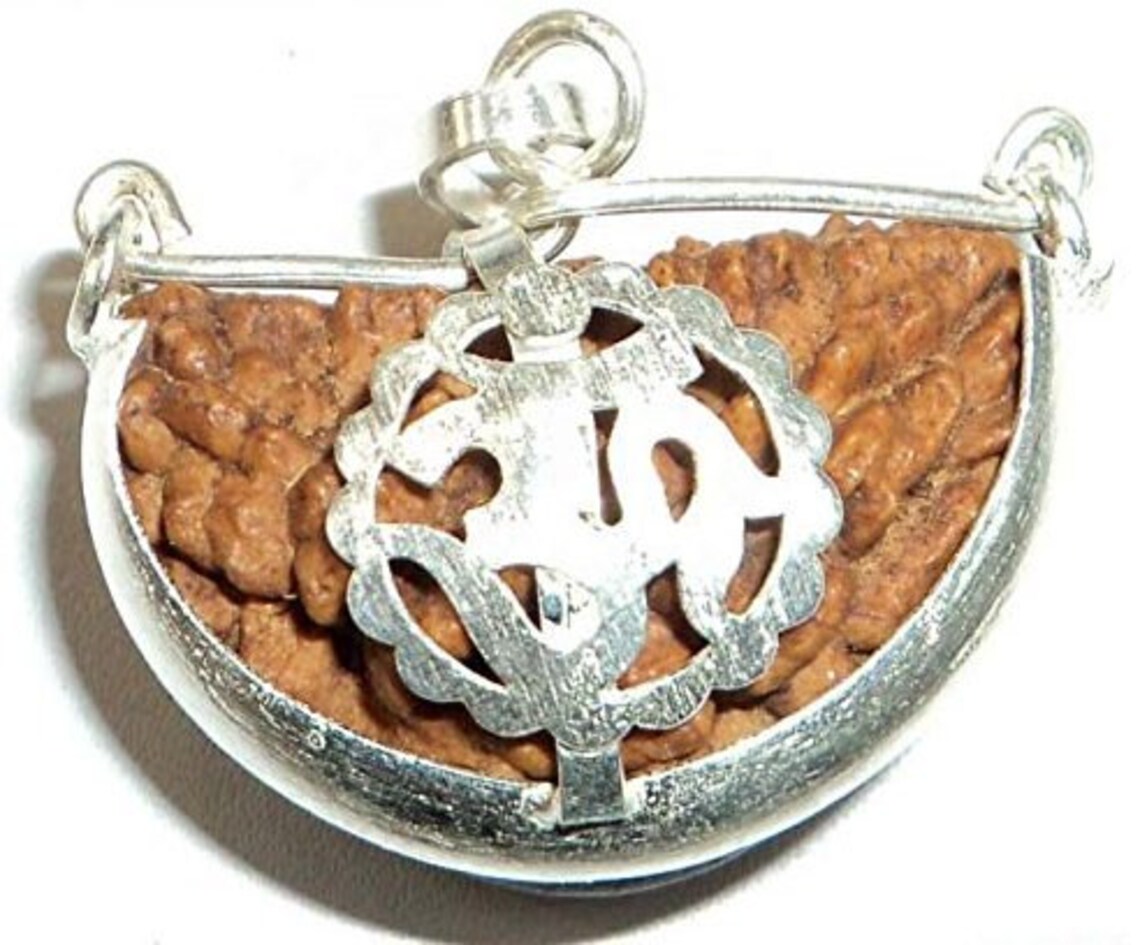 1 Mukhi Rudraksha / One Face Rudraksha Collector Size Lab - Etsy