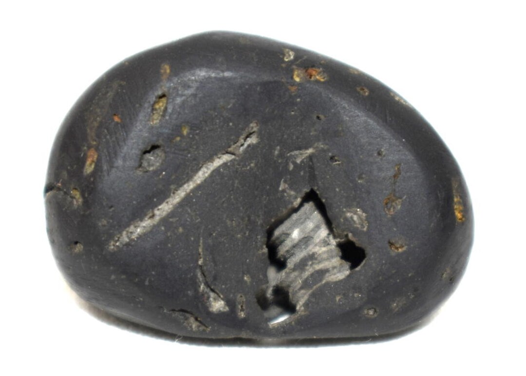 Laxmi Narayan Shaligram / Lakshmi Narayana Salagram Gandaki River Nepal ...