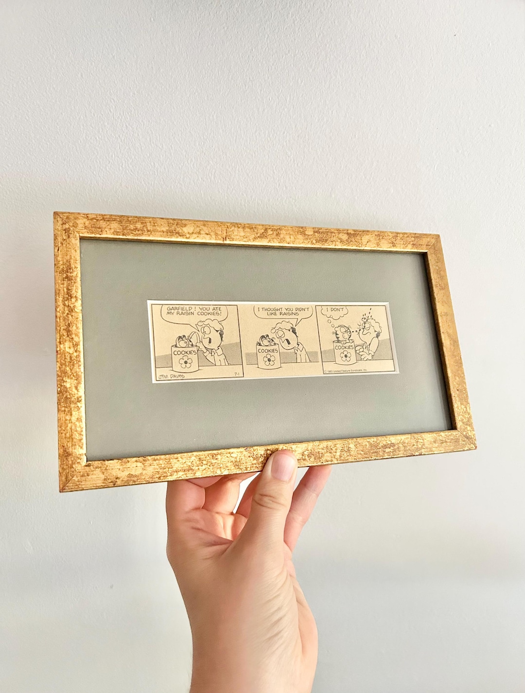 Vintage Framed Garfield Comic Strip A Joke About Raisins Jim Davis 1983 ...