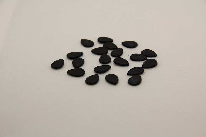 Plastic Watermelon Seeds - Etsy