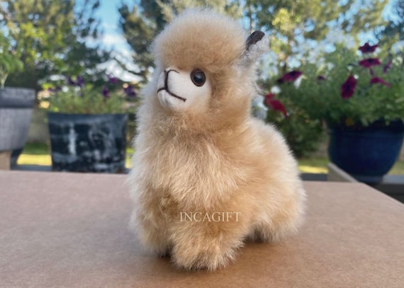Baby Mini Alpaca