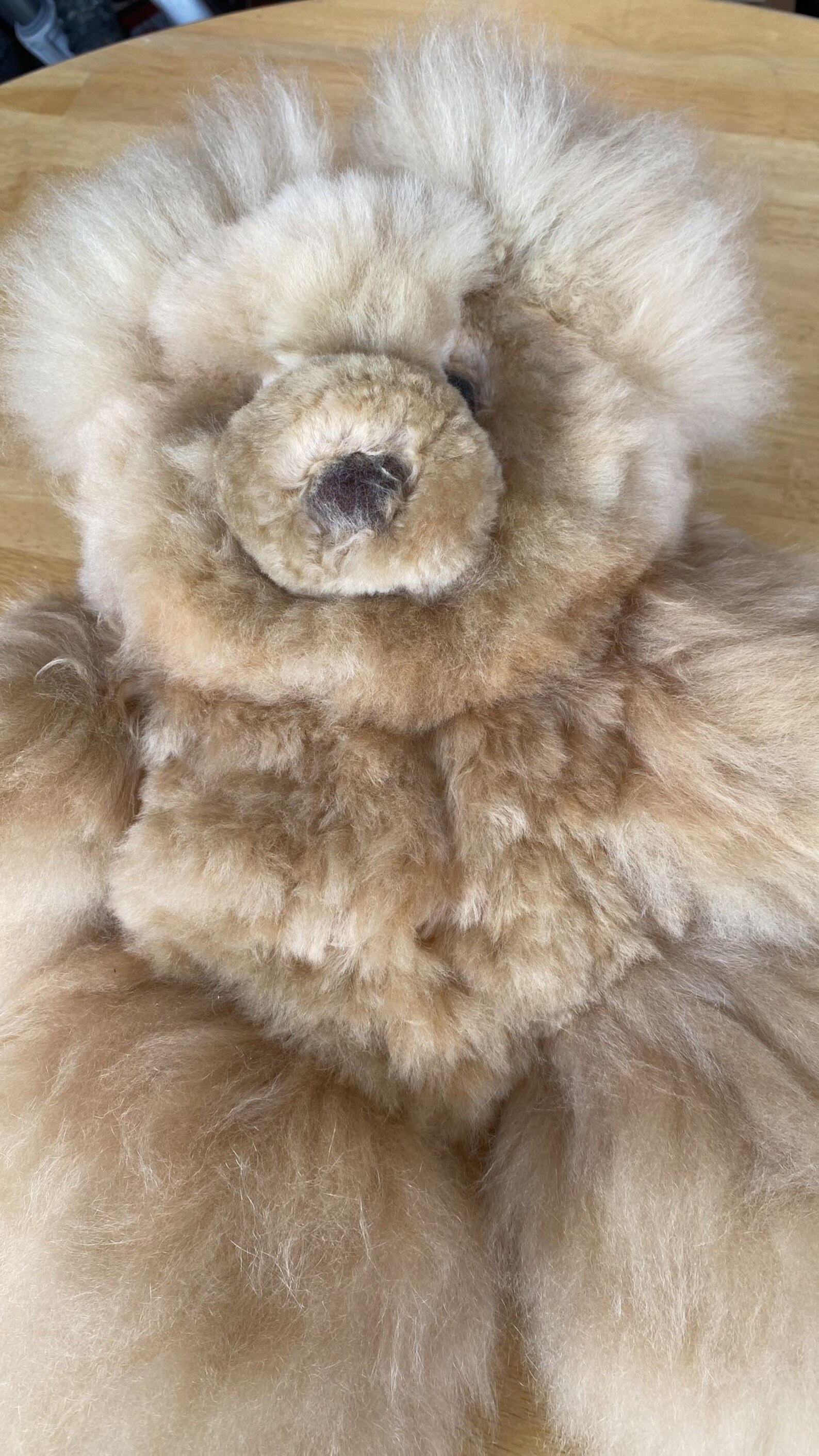 16 IN Real Baby Alpaca Fur Teddy Bear Peruvian Products - Etsy