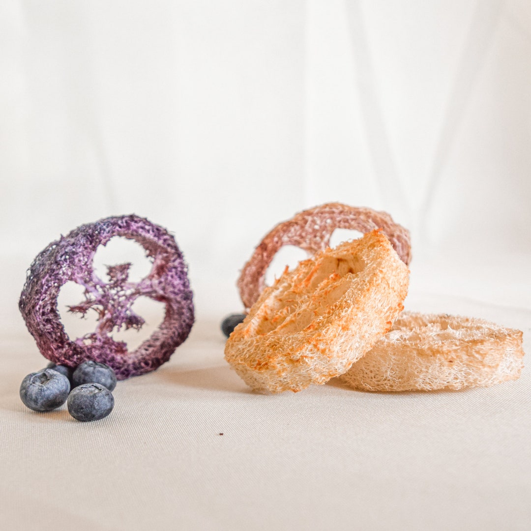 Fruit Infused Loofah Slices - 3 Pack Assorted | With Apple, Blueberry ...
