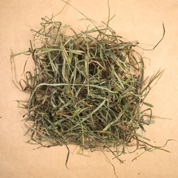 Premium 3rd Cutting Timothy and Orchard Grass Treat Hay for | Etsy