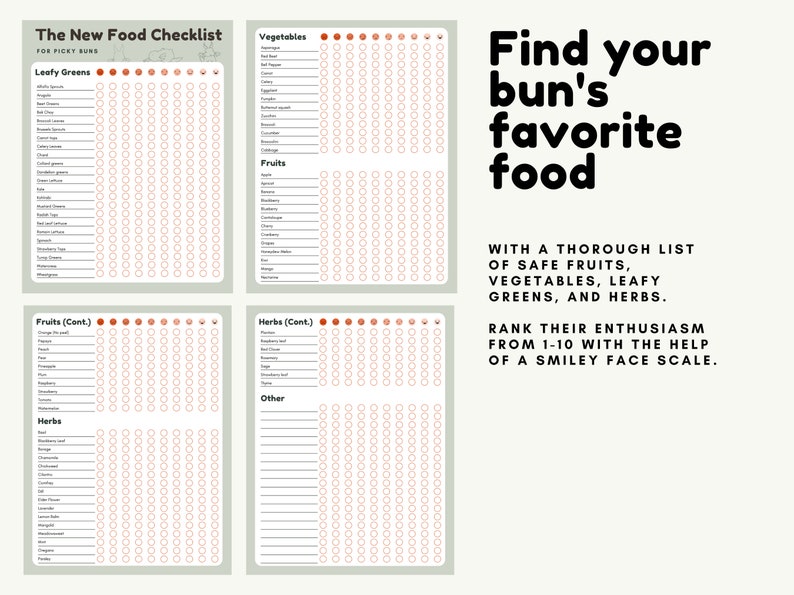 Rabbit Care Printable With Planner New Bunny Owner Care Tips - Etsy