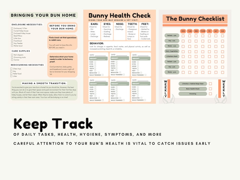 Rabbit Care Printable With Planner New Bunny Owner Care Tips - Etsy
