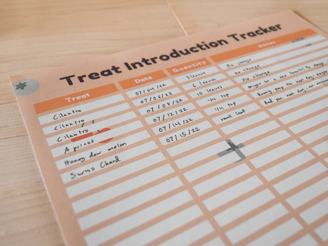 Rabbit Care Printable With Planner New Bunny Owner Care Tips - Etsy