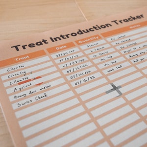 Rabbit Care Printable With Planner, New Bunny Owner Care Tips, Treat ...