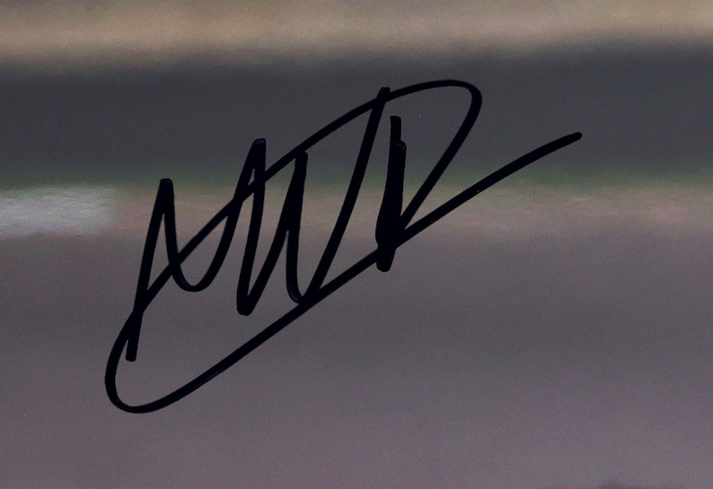 Red Bull Racing F1 With Pre-printed Max Verstappen Autograph - Premium ...