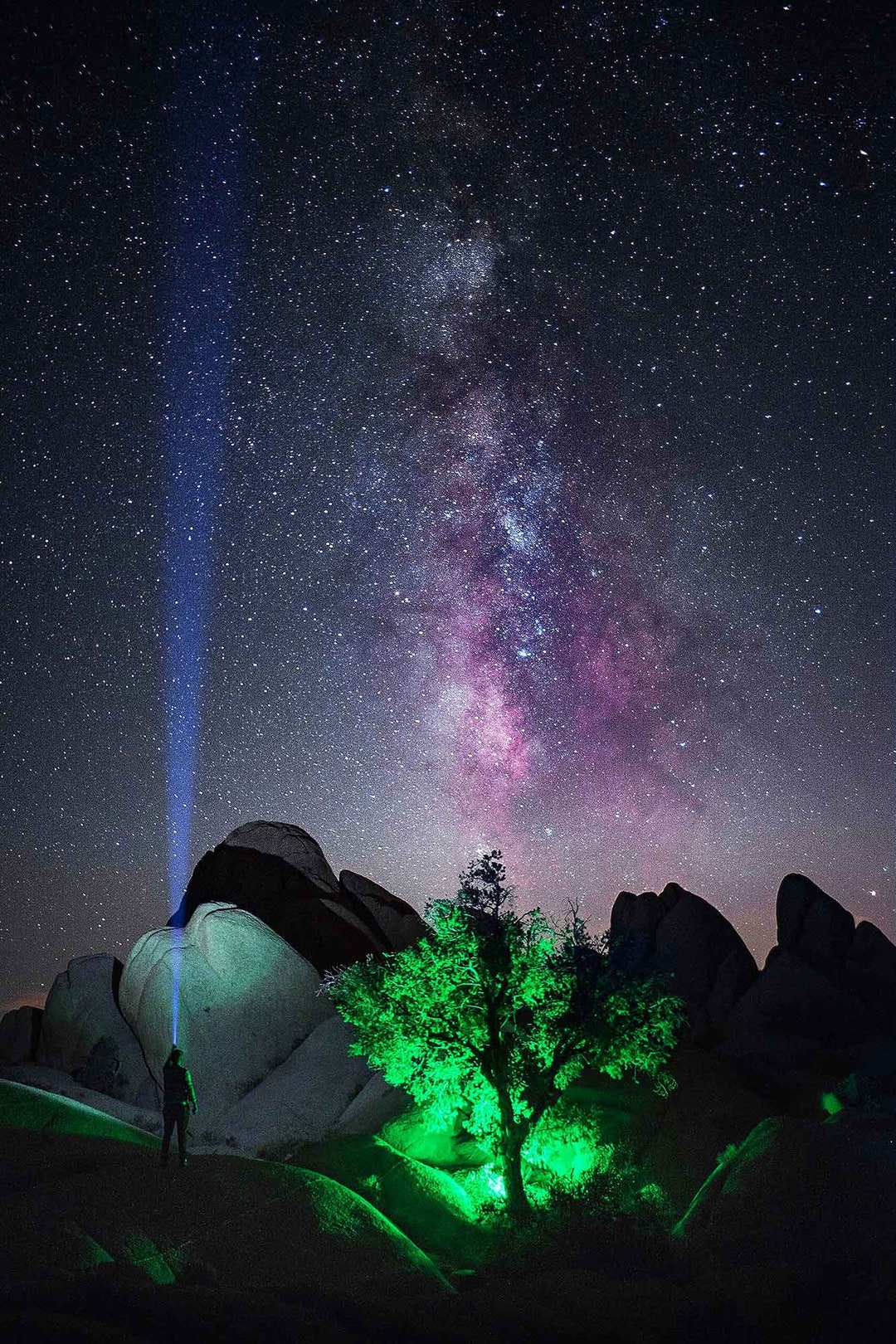 Milky Way Starry Night Sky Joshua Tree National Park CA US Canvas Wall ...