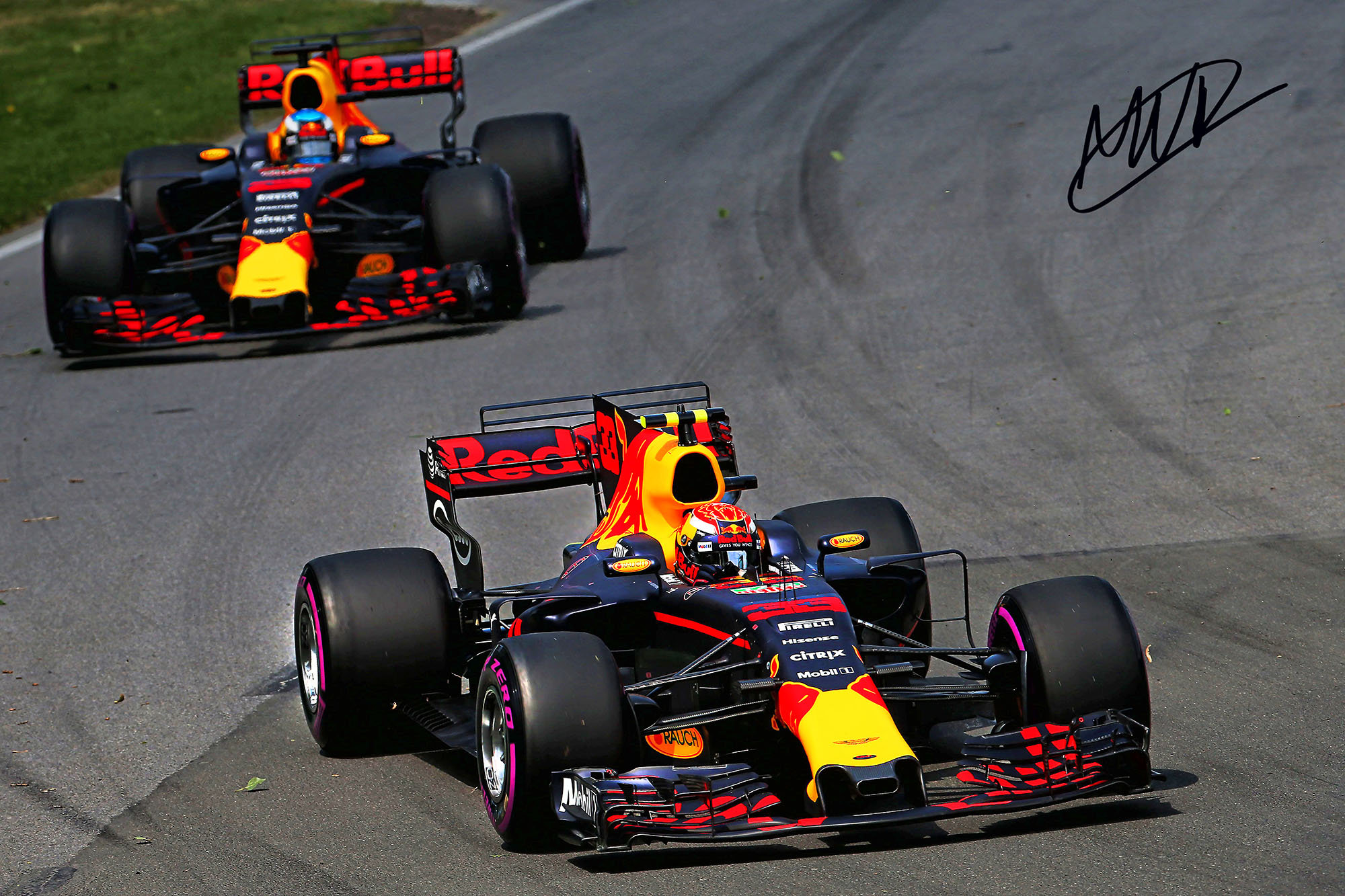 Red Bull Racing F1 With Pre-printed Max Verstappen Autograph Giclee ...