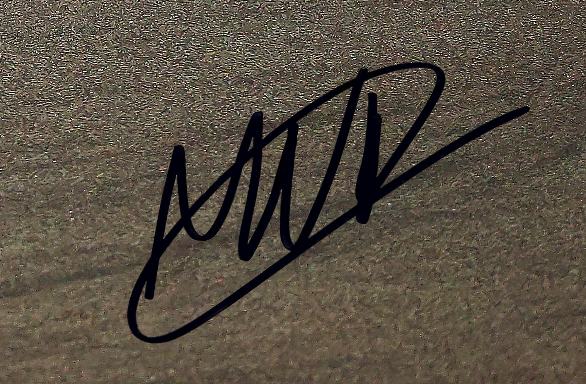 Red Bull Racing F1 With Pre-printed Max Verstappen Autograph Premium ...