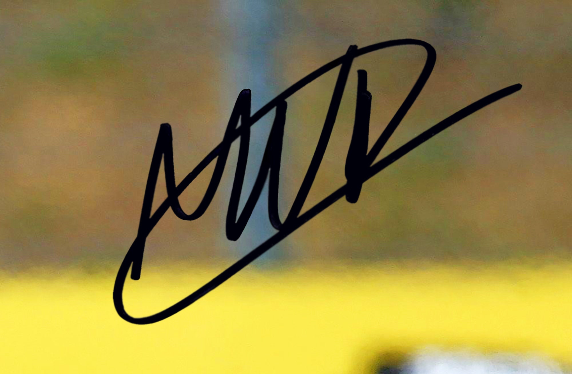 Red Bull Racing F1 With Pre-printed Max Verstappen Autograph Premium ...
