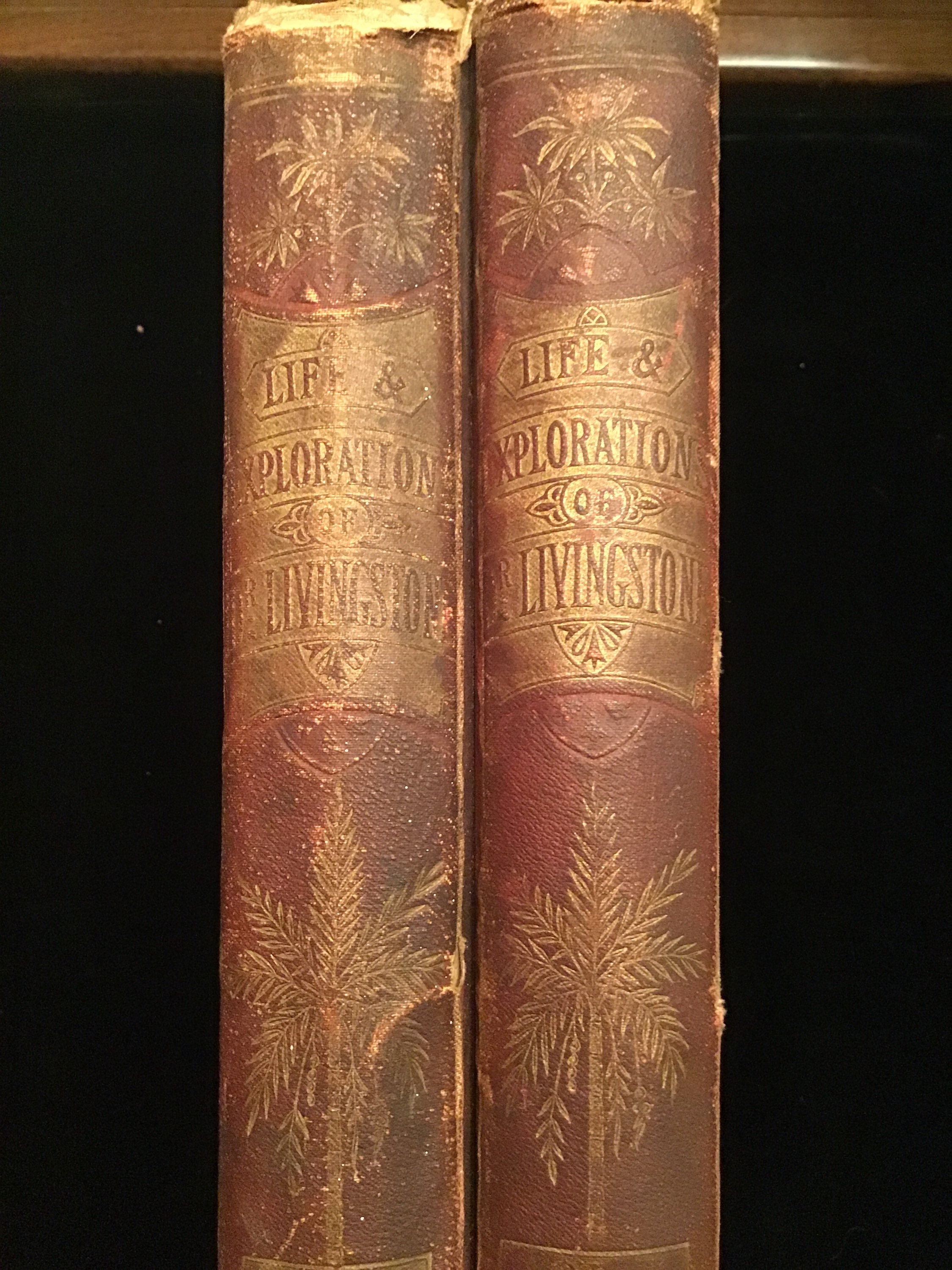 The Life and Explorations of Dr. David Livingstone the Great Missionary ...