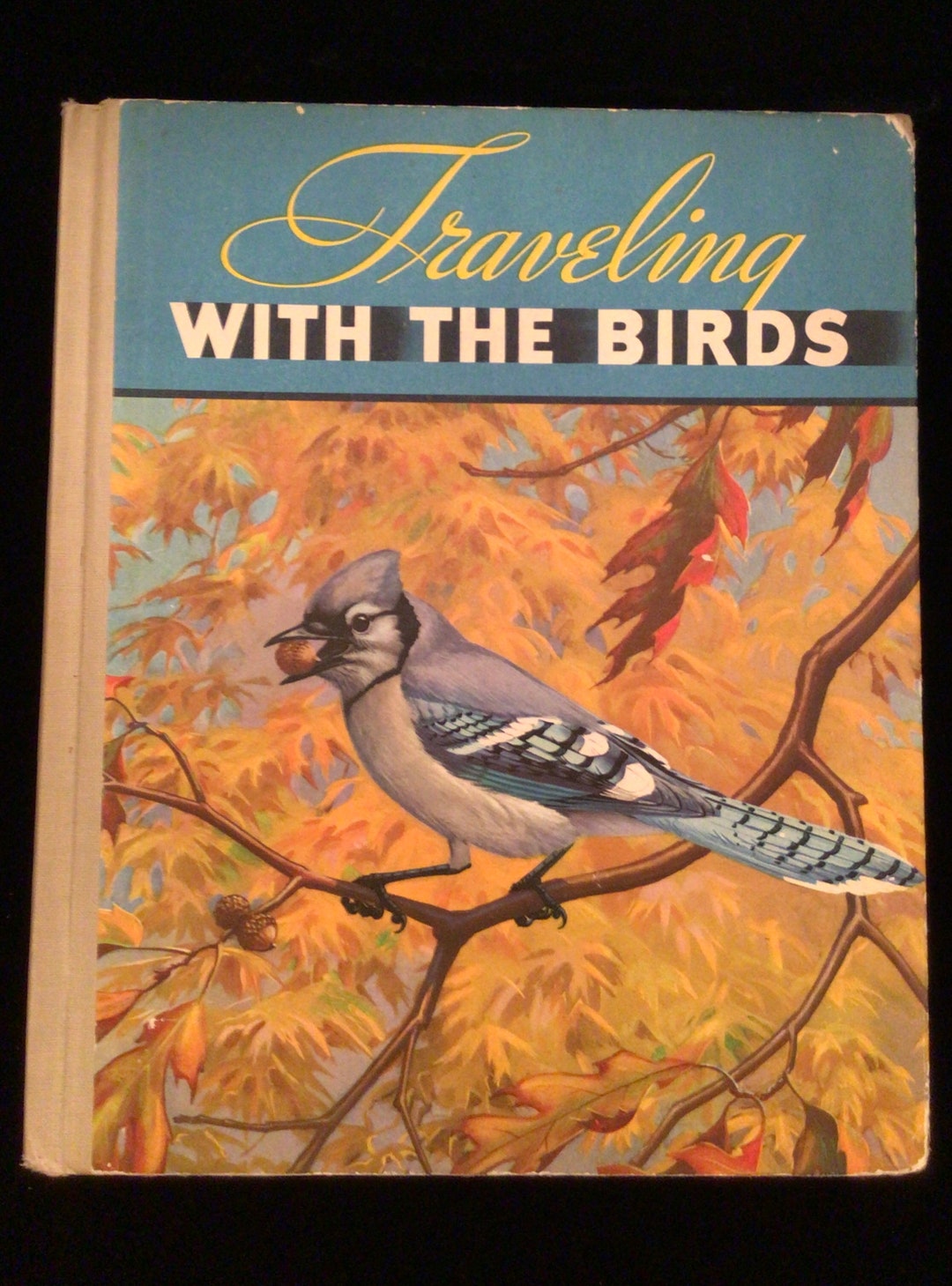 Traveling With the Birds A Book on Bird Migration Rudyerd Boulton 1933 ...