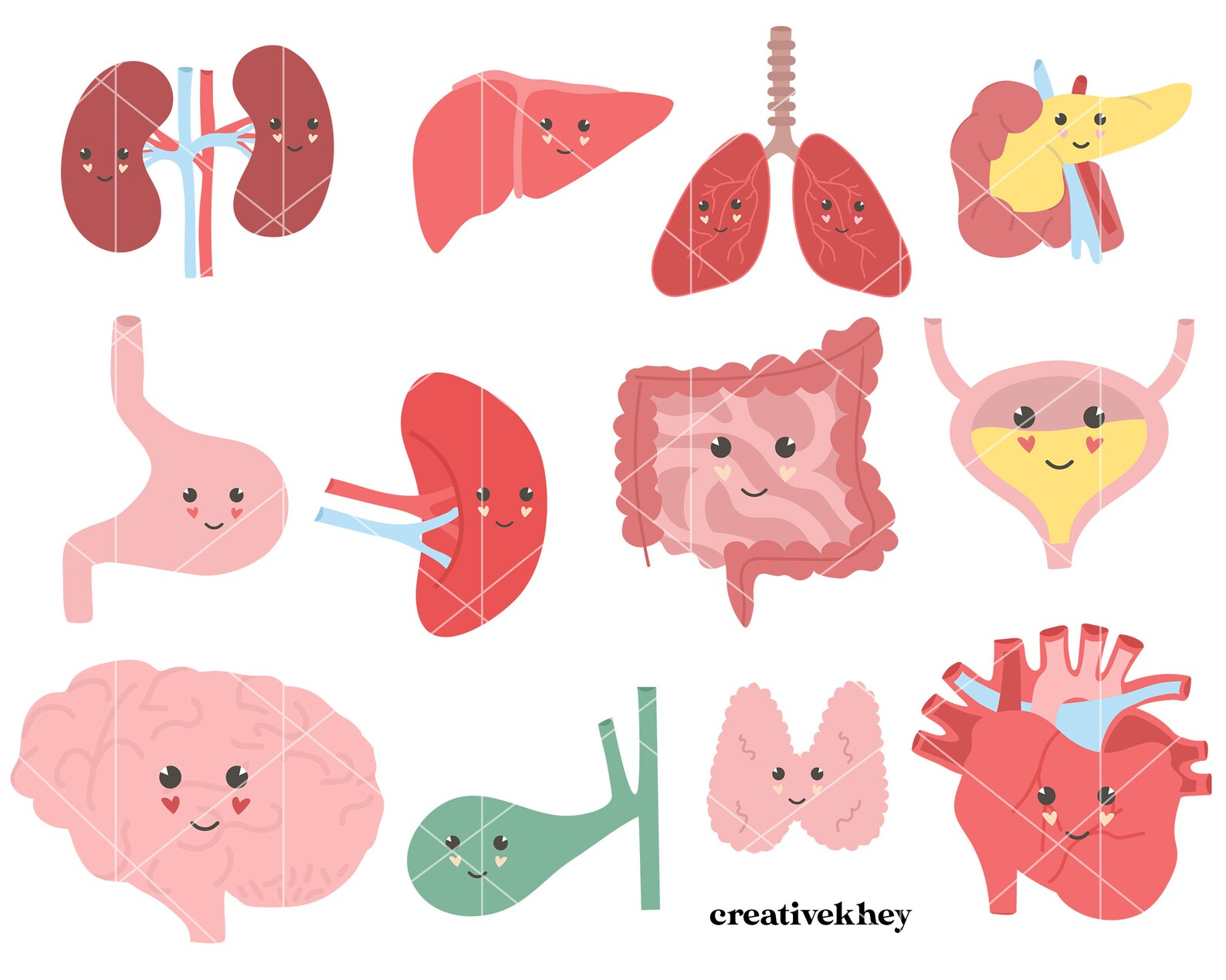 Human Organs Clipart, Lung Clip Art, Human Anatomy Clipart, Body Parts ...