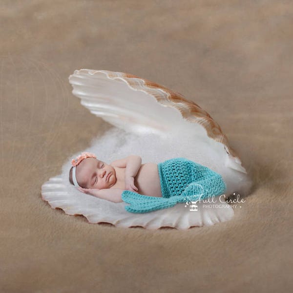 Clam Shell Prop - Etsy